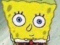 310 Spongebob Reactions Ideas Spongebob Spongebob Funny Spongebob Pics