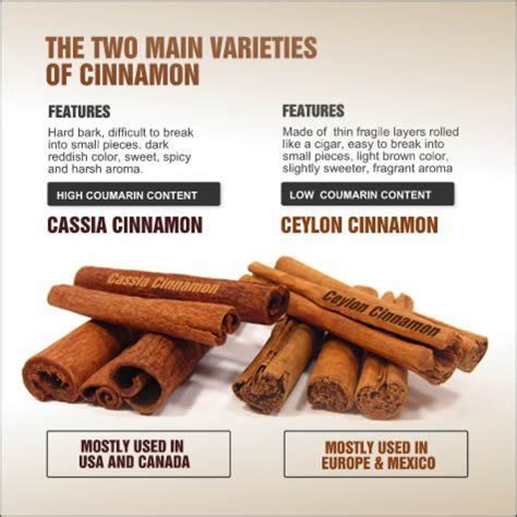 Types Of Cinnamon Ceylon Cassia Saigon Korintje Cinnamon