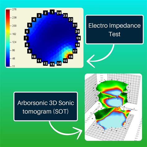 Tree Diagnostics On Linkedin Treediagnostics Tomographytesting