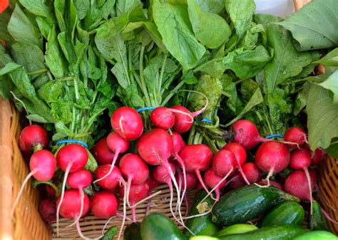 500 Free Radishes And Radish Images Pixabay