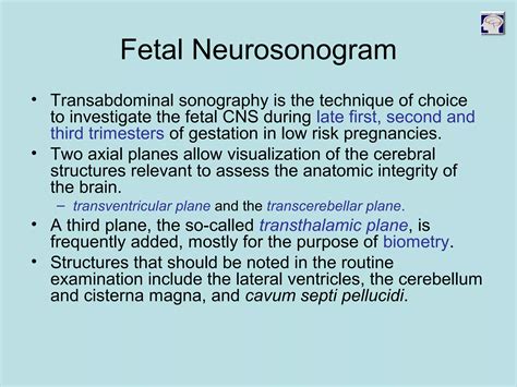 Bedside Ultrasound In Neurosurgery Part 13 Ppt