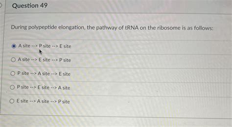 Solved Question 49during Polypeptide Elongation The Pathway
