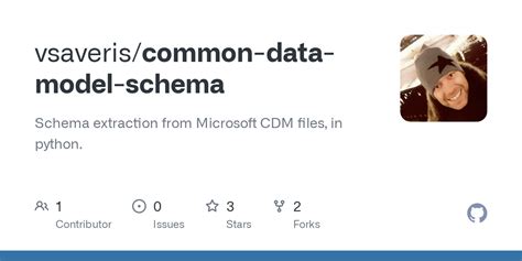 Github Vsaveriscommon Data Model Schema Schema Extraction From