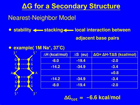 Ppt Introduction To The Rna Folding Problems Powerpoint Presentation Id 1785858