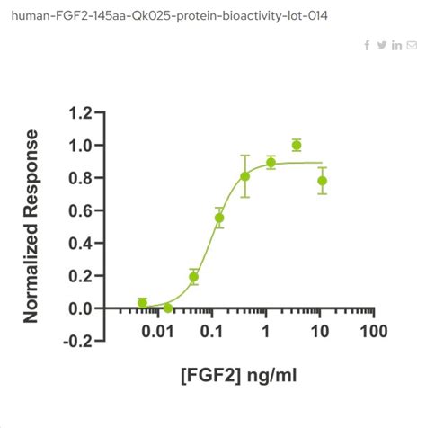 Recombinant Human Fgf 2 Bfgf 145 Aa Protein Xl Biotec