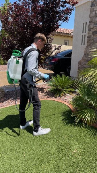 1 Bug Control Las Vegas Nevada Green Wave Pest Control