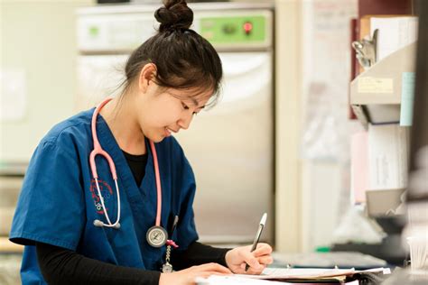 Msc Course Based School Of Nursing