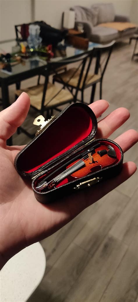 You Guys Played Very Small Violins But Can You Play This R