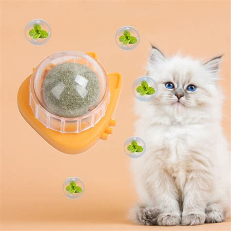 Catnip Toys Healthy Natural Cat Food Edible Catnip Ball Catmint Snacks Orange Ebay