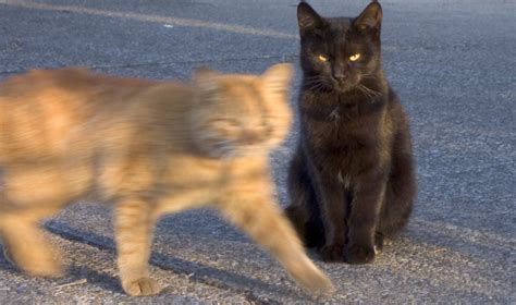 Greysha Greysha Added A New Photo