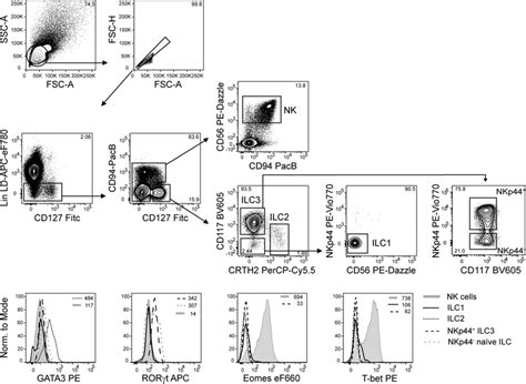 Identification Of Human Tonsil Ilcs Representative Gating Strategy