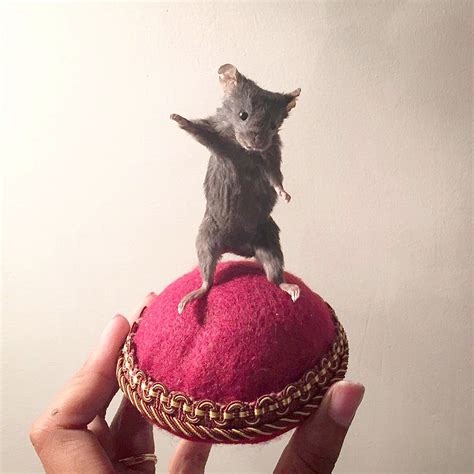Sold Out In Person Mouse Taxidermy Class With Taxidermist Divya