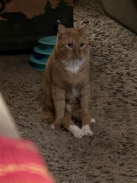 This Is Fry He Has No Hip Sockets And He Likes To Scream R