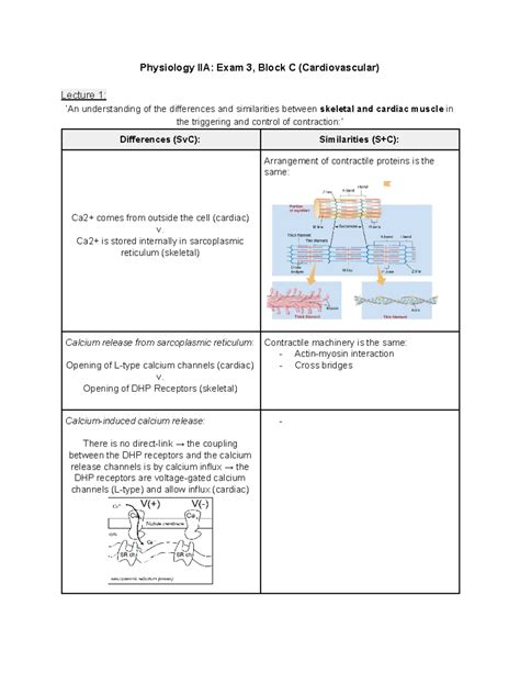 Physiol Exam 3 Cardiovascular System Cheat Sheet 1 Physiology Iia