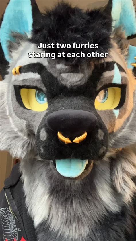 Furries And Anime Art