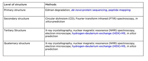 Protein Structure Examples
