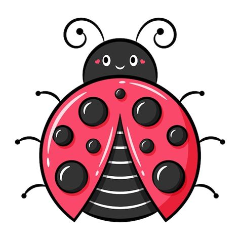 Premium Vector Ladybug Cute Drawing For School Flash Card