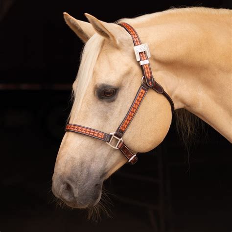 Schneiders® Sunburst Ranch Western Show Halter Schneiders