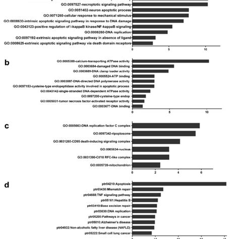Gene Ontology Annotation And Kegg Related Pathway Of Protein In The