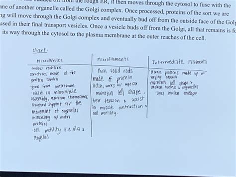 Ap Bio Unit 2 Quiz Flashcards Quizlet