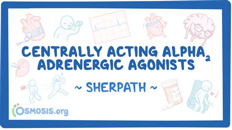 Centrally Acting Alpha2 Adrenergic Agonist Therapy Video Causes