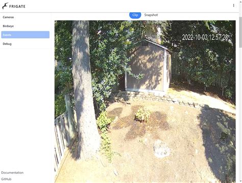 Scale Playback Of Portrait Cameras By Browser Height Instead Of Width · Issue 4051