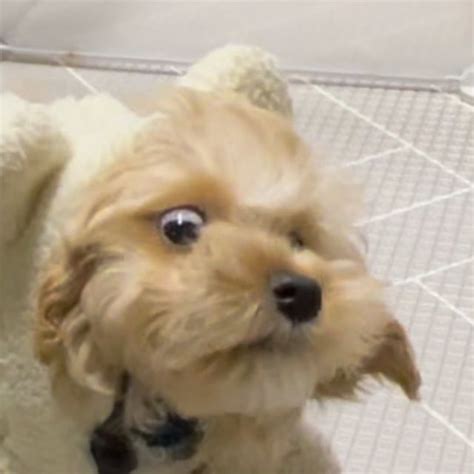 임채린 Cherryn • Threads Say More