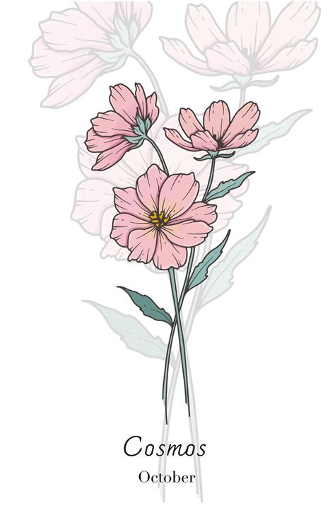 Cosmos Line Art Cosmos Flower Illustration October Birth Month Flower