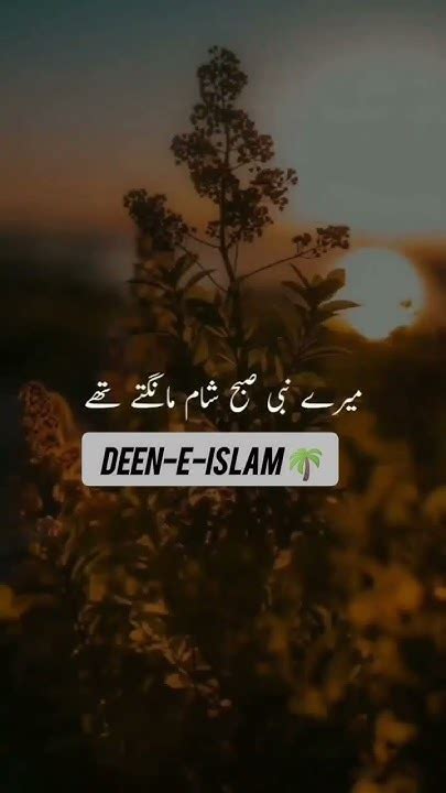 Dua Mere Nabi E Pak ﷺ Rooz Subha O Sham Allah Pak Se Manga