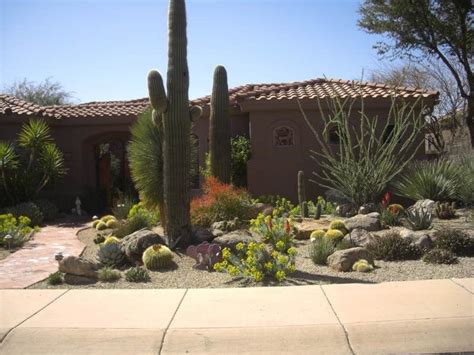 Best Trees For Front Yard In Arizona At Lawrence Henderson Blog