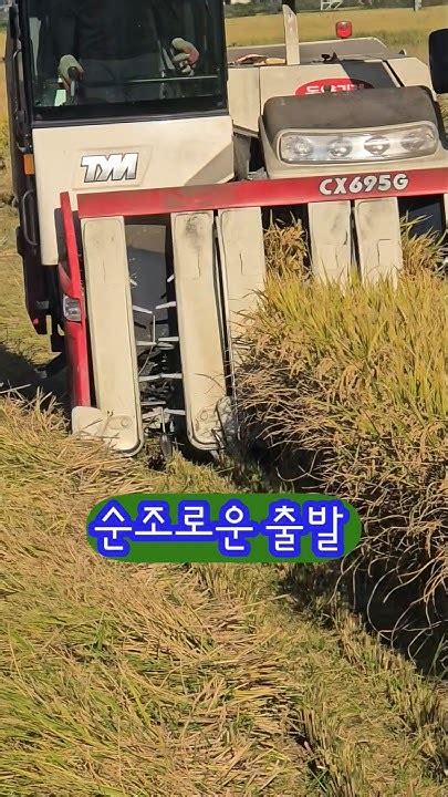 Tym Cx 695g 콤바인은 자신의 강점을 알려줬다 농업기계 Shorts 콤바인벼수확 가을걷이 콤바인 작업 농기계정비기능사 Youtube