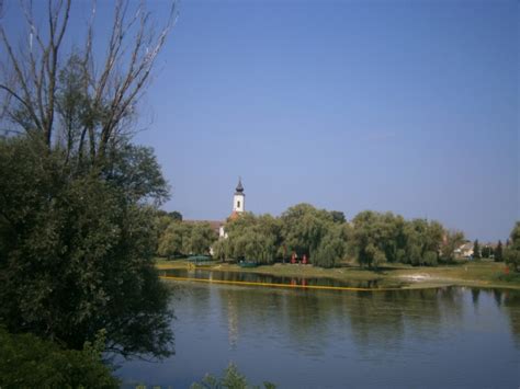 Morović Morovićanke