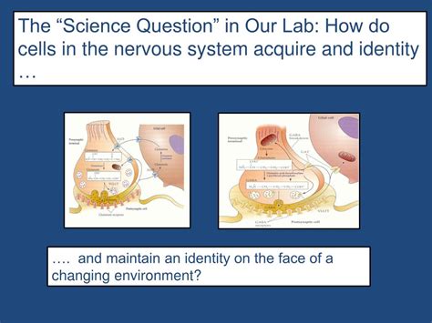 PPT BIG DATA From RNA Seq Experiments PowerPoint Presentation ID