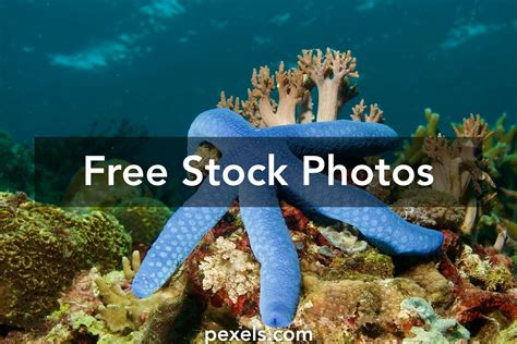 Biodiversity Theme Photos Download The Best Free Biodiversity Theme