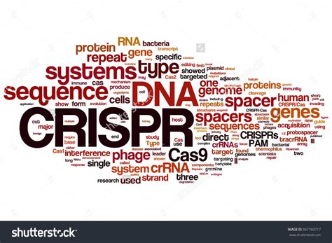 Does Crispr Gene Editing Gmo Biotechnology Skeptics May Split On How