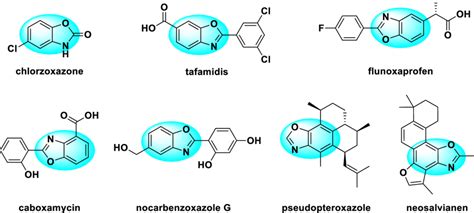 The Structures Of Bioactive Benzoxazole Compounds Download Scientific