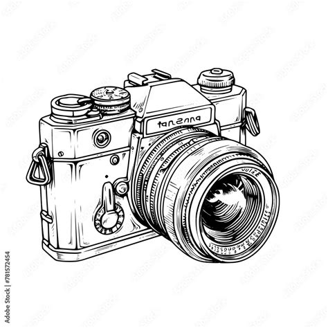 Camera Svg Photographer Svg Photography Svg Floral Photo Taking Svg