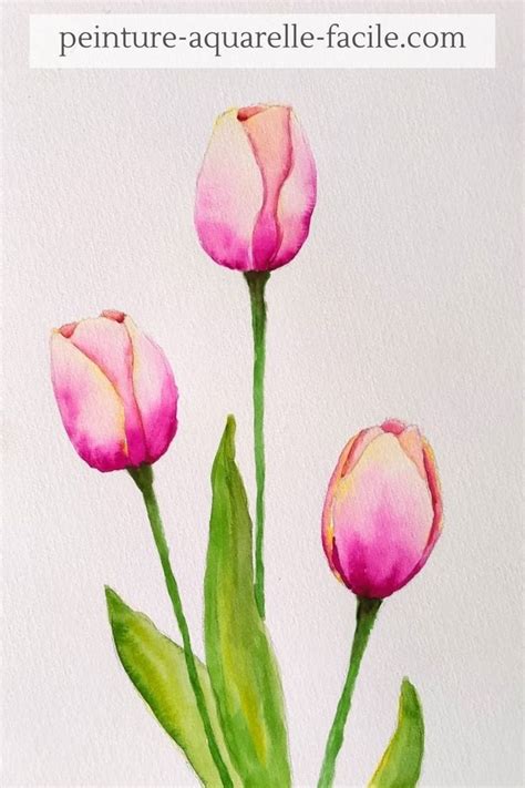 Les Techniques Aquarelles Que Tout Débutant Doit Connaitre Peinture Aquarelle Facile En 2022