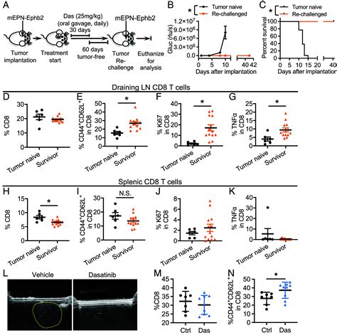 Targeting Ephb2 Abl1 Restores Antitumor Immunity In Preclinical Models Of Ependymoma Pmc