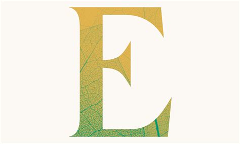 Elements Catalyst Project