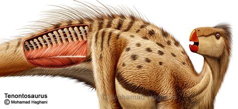 When Dinosaurs Ruled The Mind 37 Top 10 Recent Discoveries That