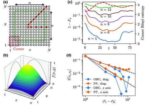 Purification Preparation For Free Fermions On A Two Dimensional 2d Download Scientific