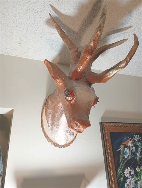 The Dearest Deer Global Edutopia