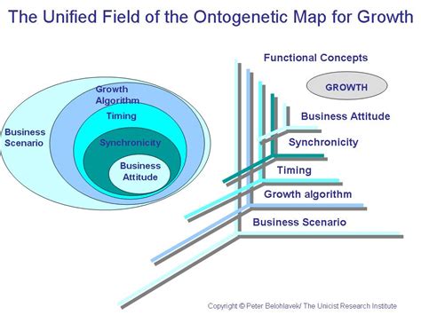 Ontogenetic Maps For Business Growth