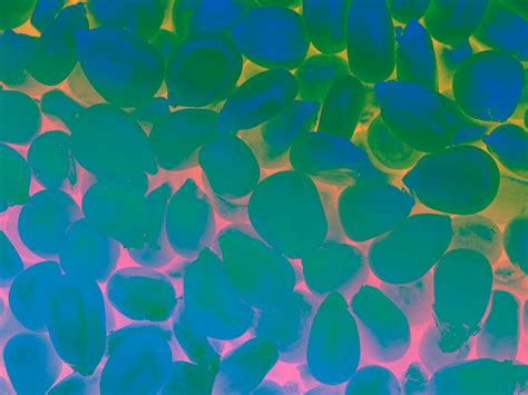 Aaron Swartz The Tragic Story Of A Digital Freedom Fighter By Barron