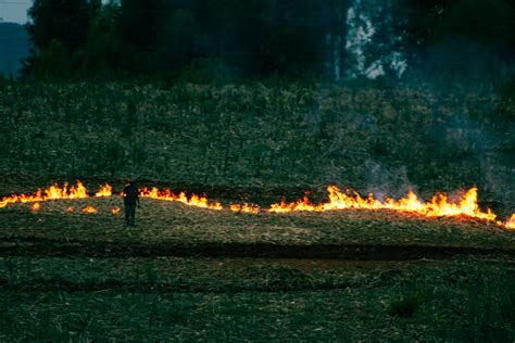“prescribed Fire” The Why And How Of Controlled Burns Gardzen