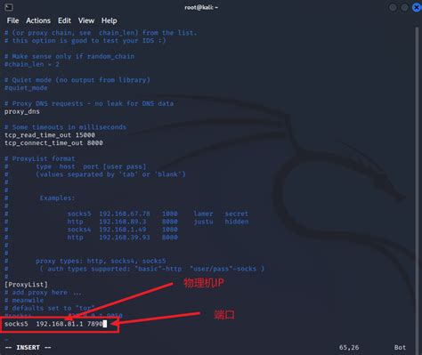 Kali设置代理proxychainskali
