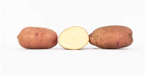 Beate Fagforum Potet