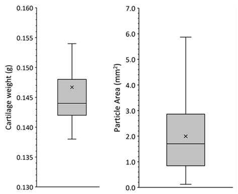 Transmission Electron Microscopy Quantitative At Dorothy Lim Blog