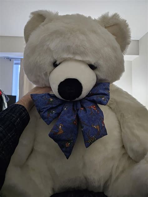 New Bear Who Dis R Plushophile